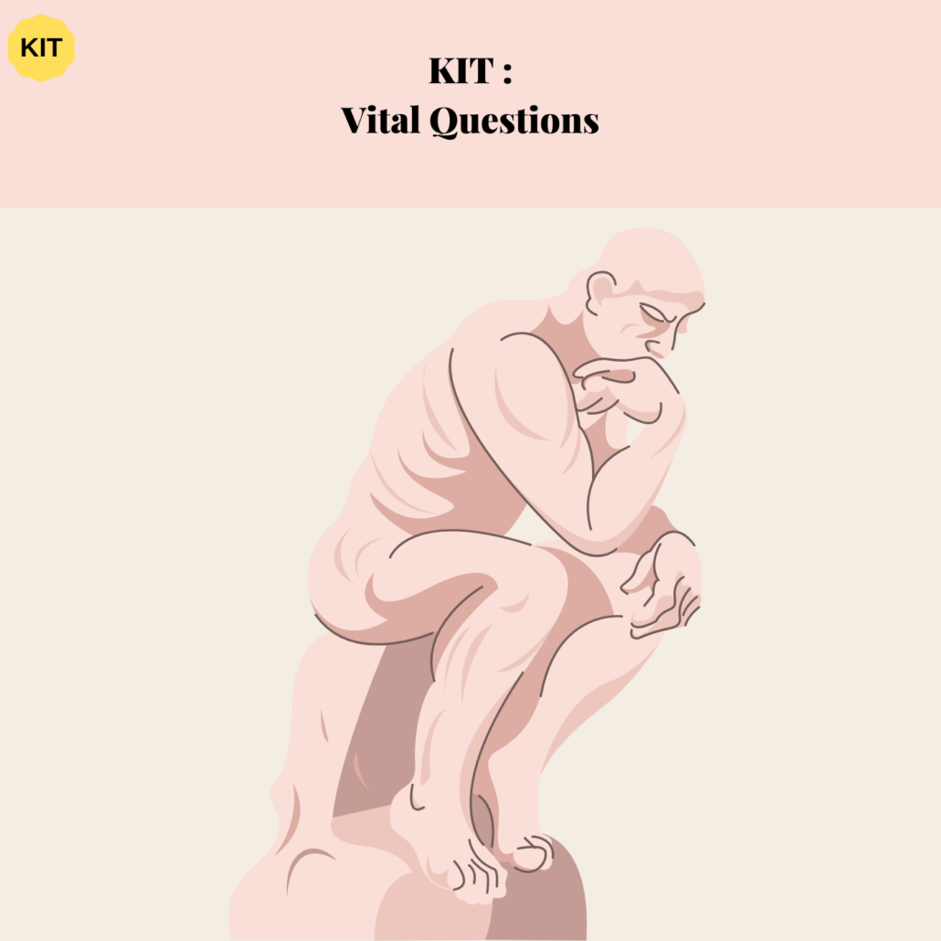Vital Questions Kit - Vital Questions FrameworkMy coaching toolkit